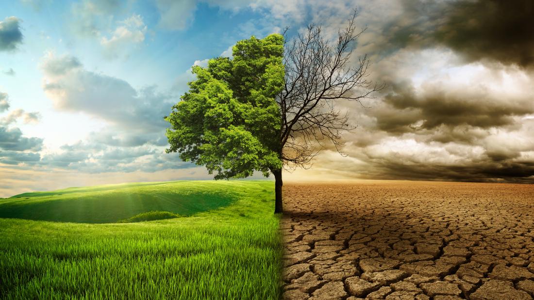 Climate change - how is it affecting your hay fever? – Breaze Health