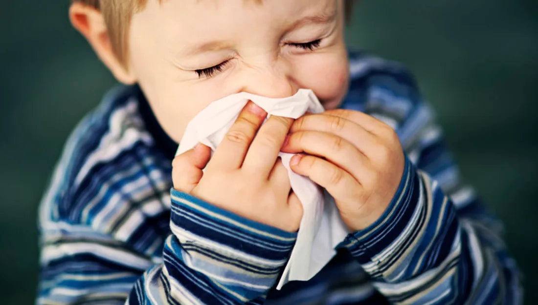 Children's Hay Fever – Breaze Health
